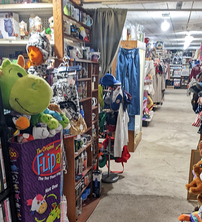 Stuffed animals and vintage toys create a colorful jungle of childhood memories. That Flipazoo brings back Saturday morning cartoon vibes!