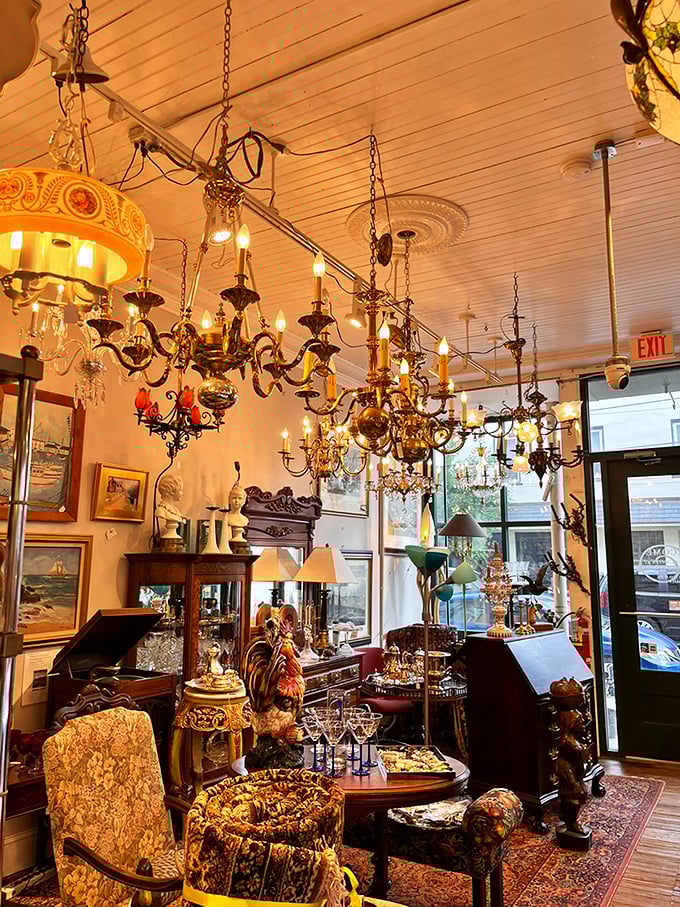Look up! A magnificent herd of chandeliers creates a ceiling safari of crystal and brass. Somewhere, Liberace is smiling with approval.