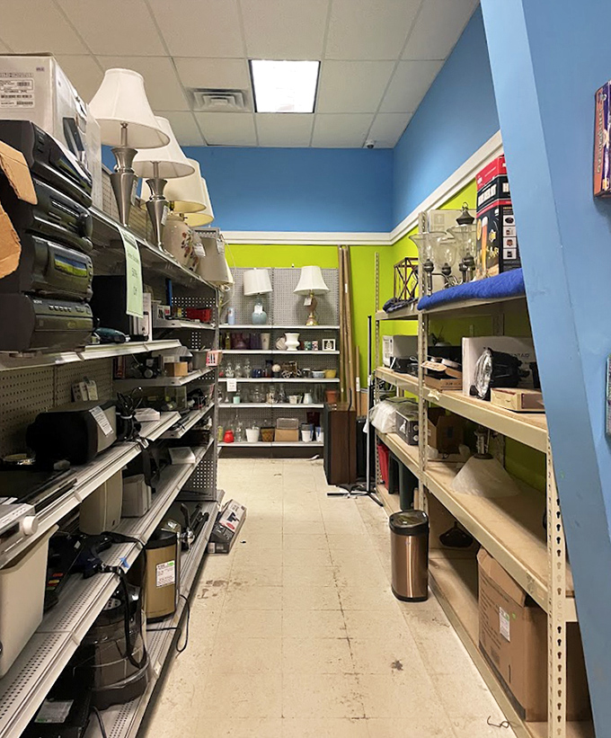 Narrow aisles packed with treasures where the hunt is half the fun and discovery lurks around every corner.