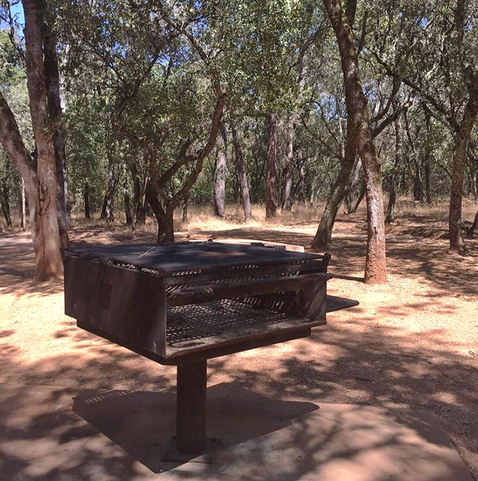 These sturdy grills have seen more family reunions than a small-town photographer, each one seasoning the next meal.
