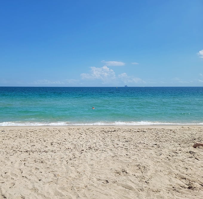 Postcard-perfect waters meet pristine sand, creating that quintessential Florida moment where troubles dissolve faster than an ice cream cone in July.