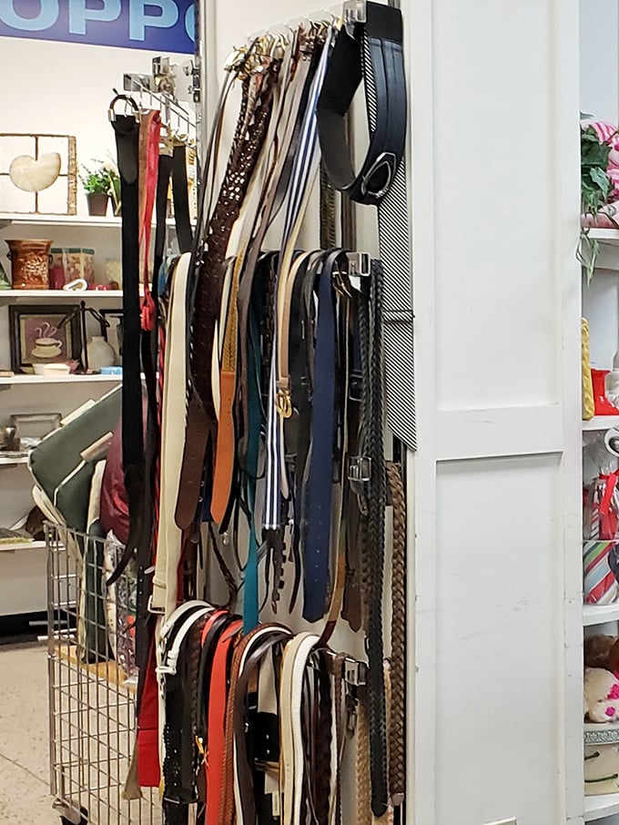 Belt bonanza! This vertical display showcases everything from practical leather workhorses to that statement piece that'll have friends asking, "Where'd you find that?"