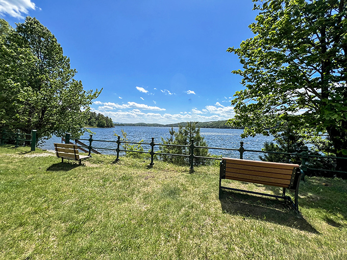 Contemplation stations perfectly positioned for maximum lake-gazing. These benches have hosted more life-changing decisions and peaceful moments than most therapists' offices.
