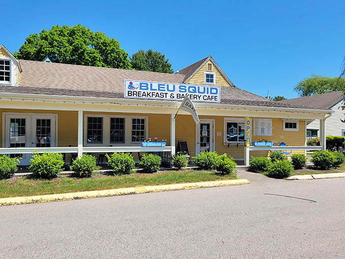 The Bleu Squid's cheerful yellow facade promises breakfast comfort that Captain Ahab would have abandoned his quest for. Moby Dick never smelled this good.