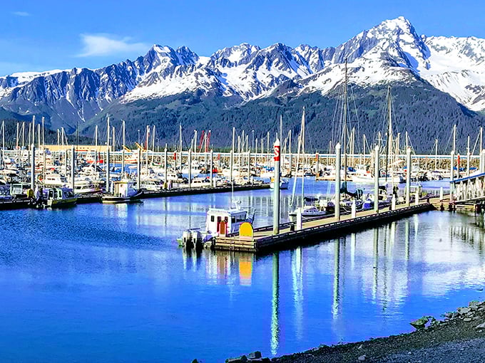 Seward's harbor&mdash;where boats bob like apples in a barrel and mountains stand guard like overprotective parents at a middle school dance.