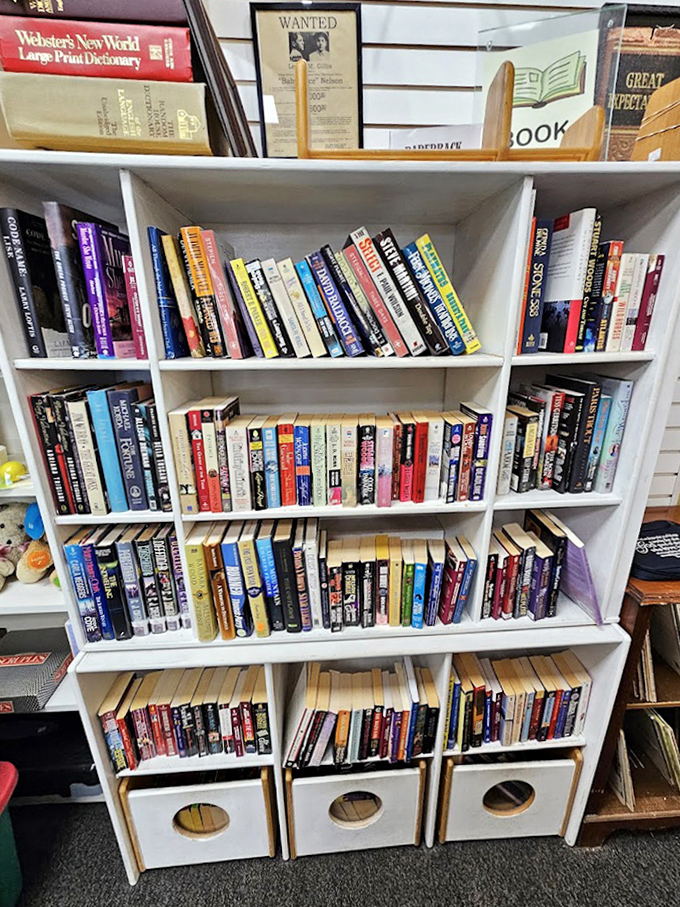 Bookworms rejoice! Enough literary treasures to build your own library without needing a second mortgage or additional bookshelves.