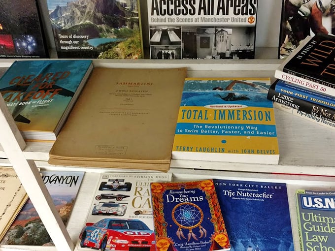 Books that have already been loved, waiting for new eyes. That swimming manual might contain the secret to perfecting your backstroke!