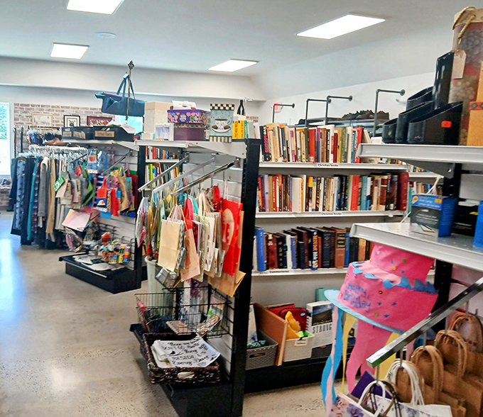 Books and paperbags living in harmony—proof that intellectual pursuits and practical storage solutions can peacefully coexist under one thrifty roof.