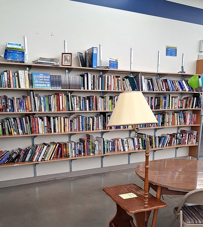Literary treasures await the patient browser. From bestsellers to obscure gems, these shelves hold adventures costing less than a fancy coffee.