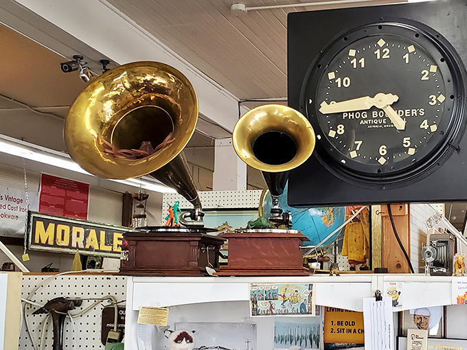 These brass phonograph horns once amplified the voices of Caruso and Bessie Smith. Now they wait silently, holding music memories from another era.