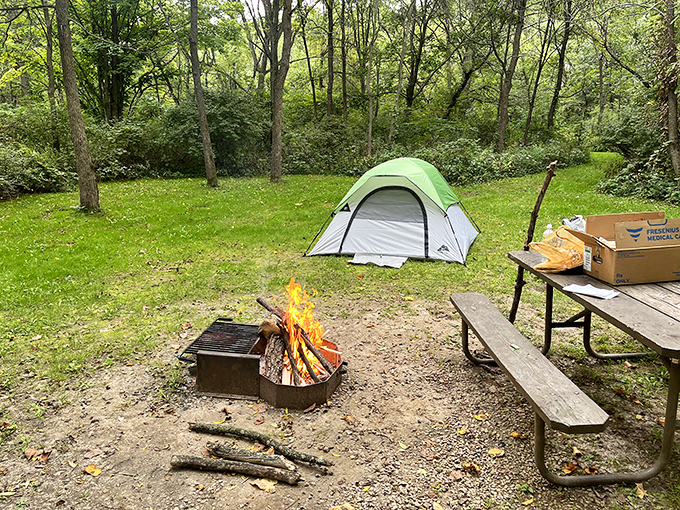 Camping simplified: a tent, a crackling fire, and forest surroundings that make hotel room views seem tragically overpriced.