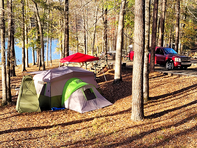 Camping goals defined: where the forest meets the lake. Fall's golden carpet of leaves creates the perfect setting for ghost stories and s'mores around the campfire.