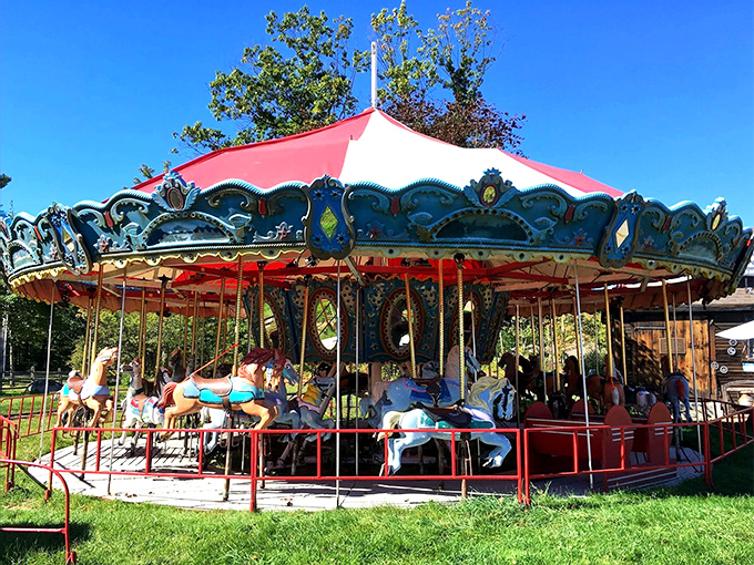 A classic carousel that's seen generations of smiling faces. Those horses have probably given more rides than New York cabbies.
