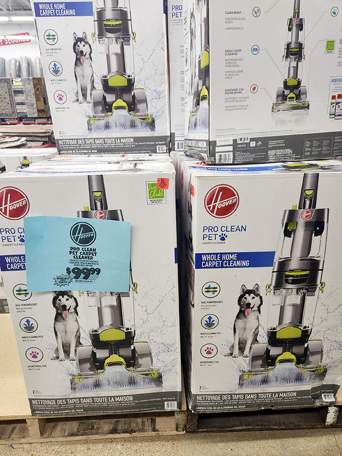 Name-brand carpet cleaners with husky mascots promise to rescue your floors from life's messier moments at prices that won't make you howl.