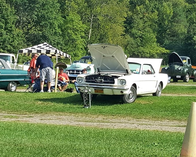 Classic car enthusiasts find their natural habitat at drive-ins. This vintage Mustang isn't just transportation—it's front-row seating for a double feature of nostalgia.