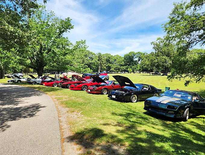 Horsepower of a different era: The park's open fields host everything from classic car shows to family reunions under the watchful gaze of ancient oaks.