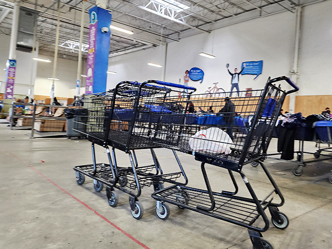 Shopping carts stand at attention, ready for their mission. These aren't just carts &ndash; they're treasure vessels waiting to be filled.