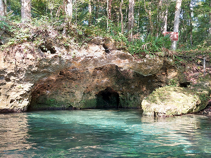 Mother Nature's secret grotto, where limestone and freshwater have been collaborating on a masterpiece for thousands of years.