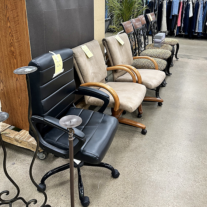 Office chair lineup looking like they're waiting for job interviews. Each one silently promising, "I'll support you better than your last boss did."