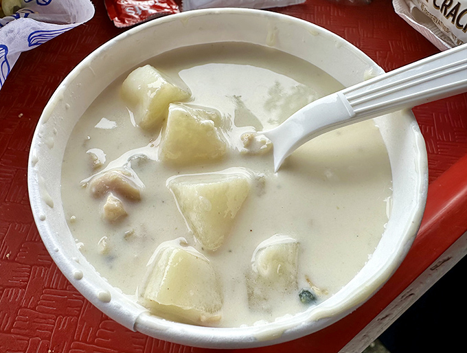 Comfort in a bowl. This creamy clam chowder, studded with tender potatoes, is New England's liquid hug on a cool coastal day.