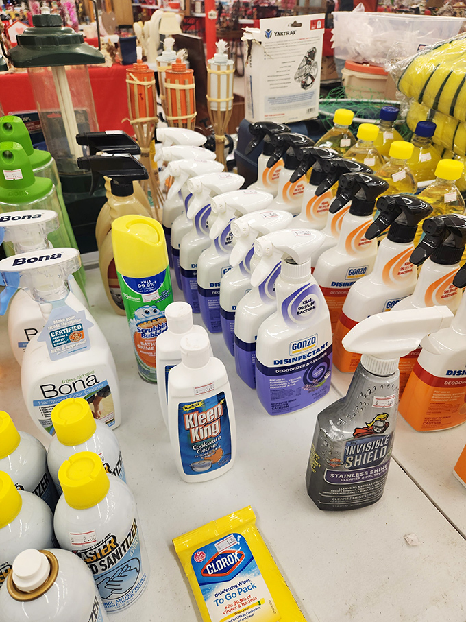 Clean freaks, rejoice! This collection of sprays, wipes, and sanitizers would make even Monica Geller feel like an amateur.