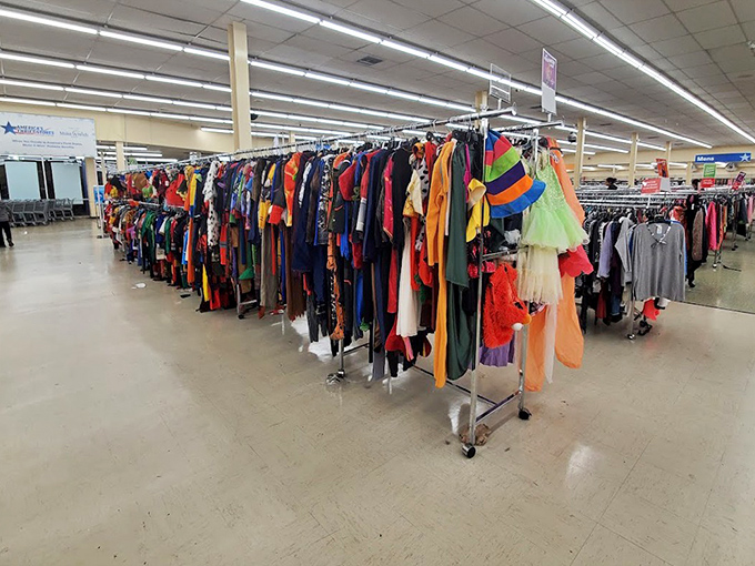 A rainbow explosion of fabrics awaits, where Halloween costumes mingle with business attire in a democratic fashion free-for-all.