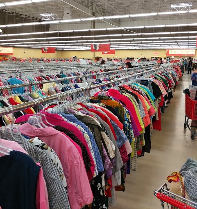 The clothing forest stretches to the horizon, a kaleidoscope of fabrics where vintage treasures hide among yesterday's fast fashion mistakes.