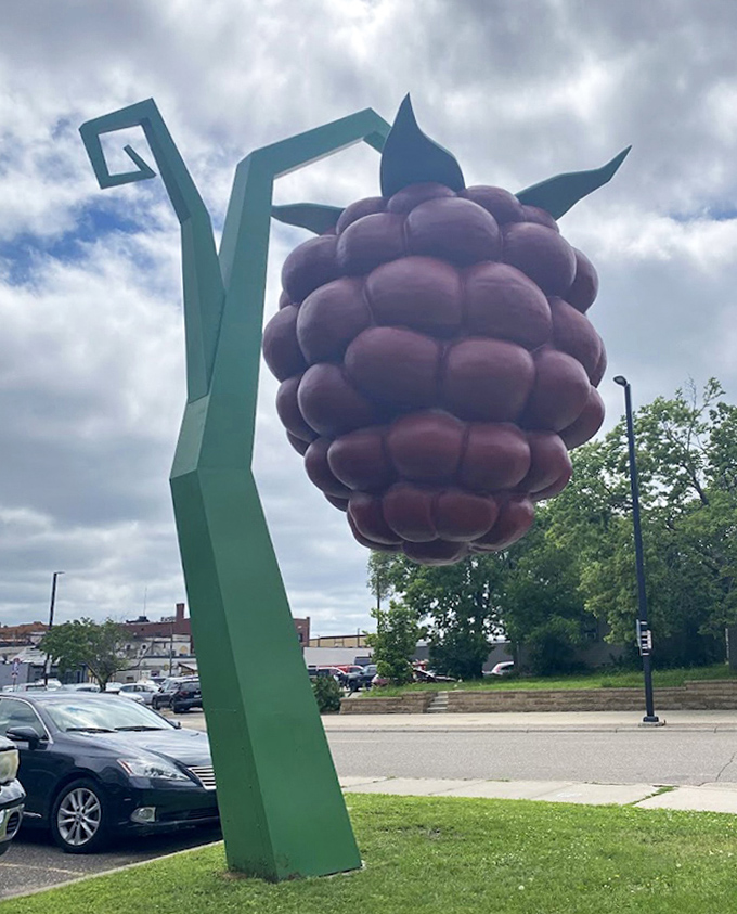 Even against moody Minnesota clouds, this ruby giant maintains its cheerful demeanor. Berry weather, indeed.
