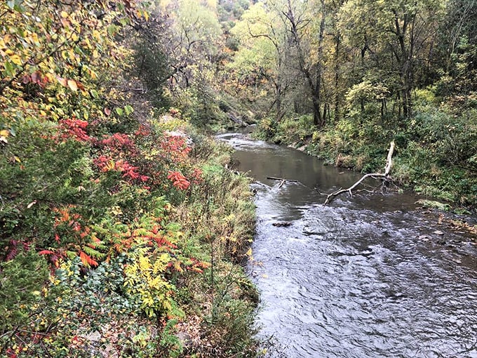 Autumn paints the Whitewater River valley with colors so vibrant they make those fancy Instagram filters look like amateur hour.