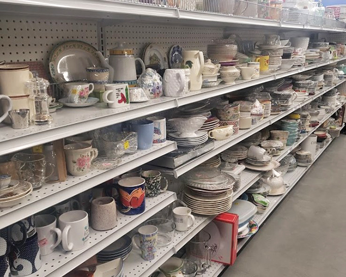 Dish paradise! Grandma's china patterns mingle with modern minimalist plates, telling the story of American dining through the decades.