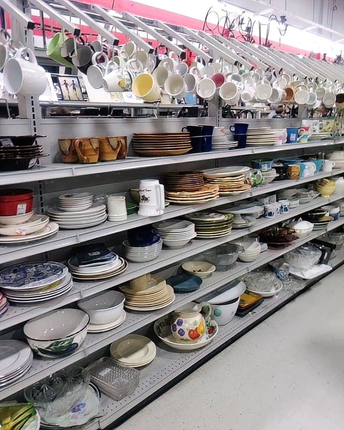 Mugs hanging overhead like a caffeinated chandelier, while plates and bowls stack below in a symphony of dinnerware possibilities.