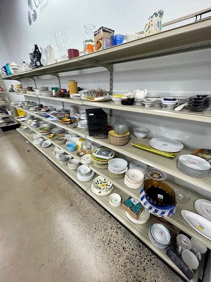 Dish paradise! From everyday plates to vintage china, these shelves hold the potential for countless dinner parties and morning coffee rituals.