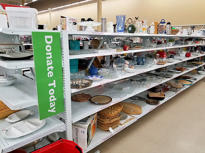 One person's discarded dinnerware is another's vintage collection starter. These shelves tell stories of family dinners, holiday gatherings, and changing kitchen aesthetics.