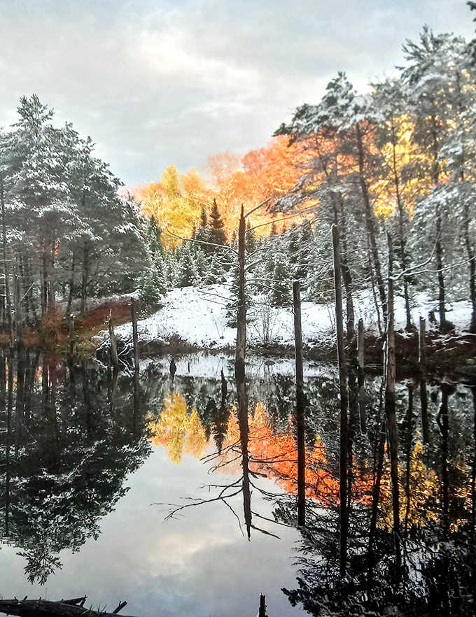 Winter transforms Orange into a postcard scene where the snow doesn't care about your property value.