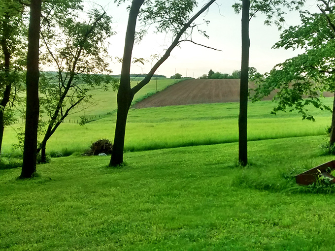 Beyond the historic buildings, the Driftless Area unfolds in gentle waves of green – a landscape the glaciers somehow forgot to flatten.