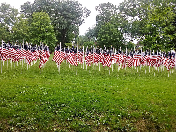 A sea of stars and stripes. During patriotic holidays, Ritter Park transforms into a moving tribute that reminds us what community truly means.