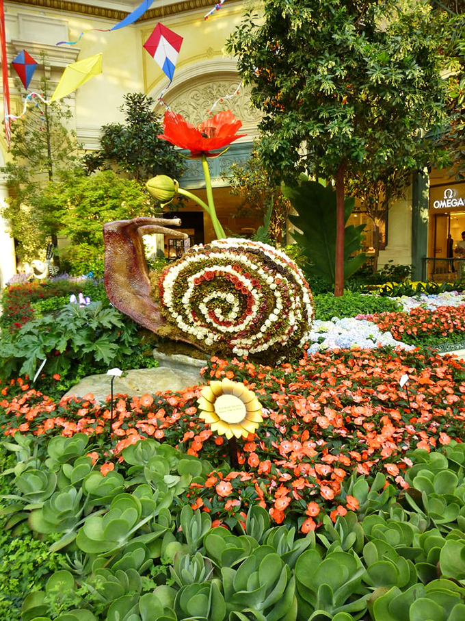 This flower snail moves at its own pace, unlike the quickstep of tourists rushing between casino floors.