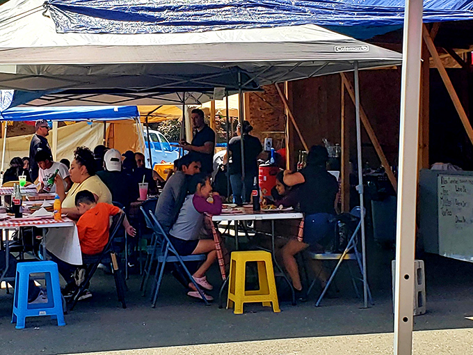 Families gather under canopies to enjoy authentic meals between treasure hunts, the universal language of good food bringing everyone together.
