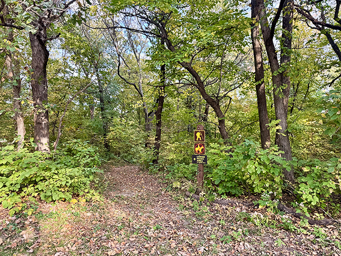 The trail beckons with possibilities and a gentle reminder of the rules. Nature's hallway comes with its own etiquette guide.