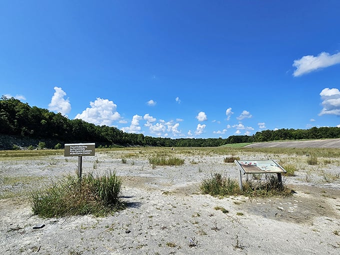 The fossil collection area&mdash;where amateur paleontologists and curious grandparents alike discover treasures older than Betty White's first television appearance. 