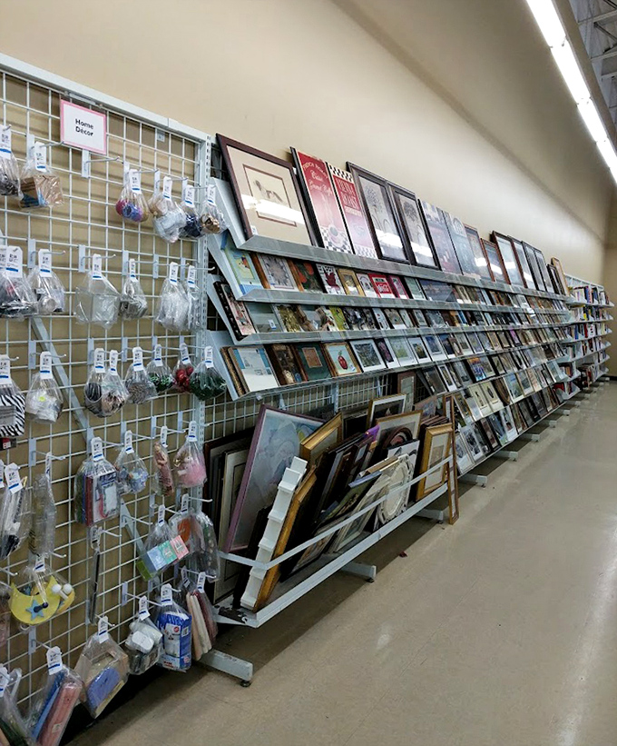 Wall art waiting for its forever home. That perfect frame for Grandma's photo or your diploma is hiding somewhere in this treasure trove.