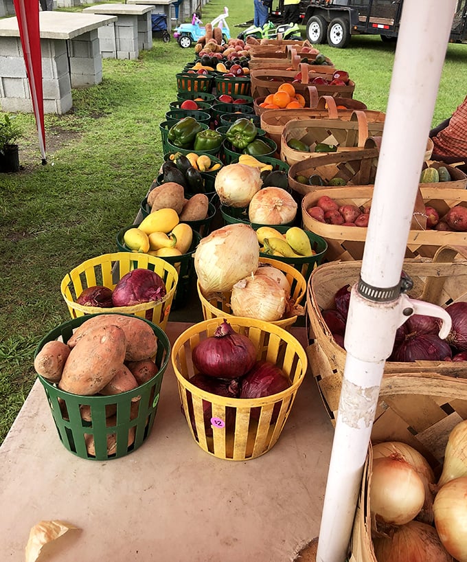 Nature's candy arranged in rustic baskets. These farm-fresh vegetables and fruits offer flavors that make grocery store produce seem like distant relatives.