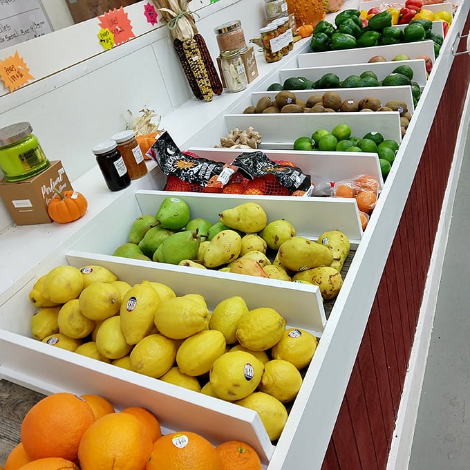 Nature's candy store! These vibrant fruits look so fresh you'd think they teleported straight from the orchard to your shopping basket.