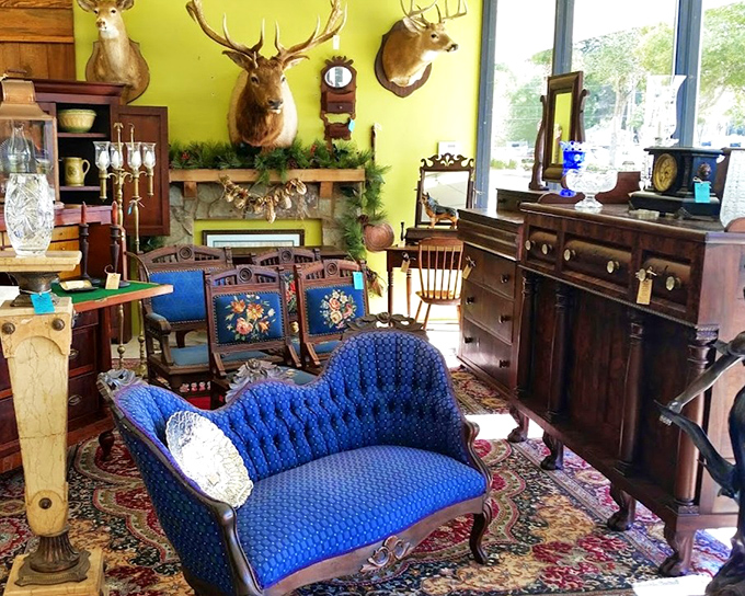 The taxidermy keeps watch over a living room straight from a 1920s hunting lodge. That blue velvet settee has definitely heard some stories!