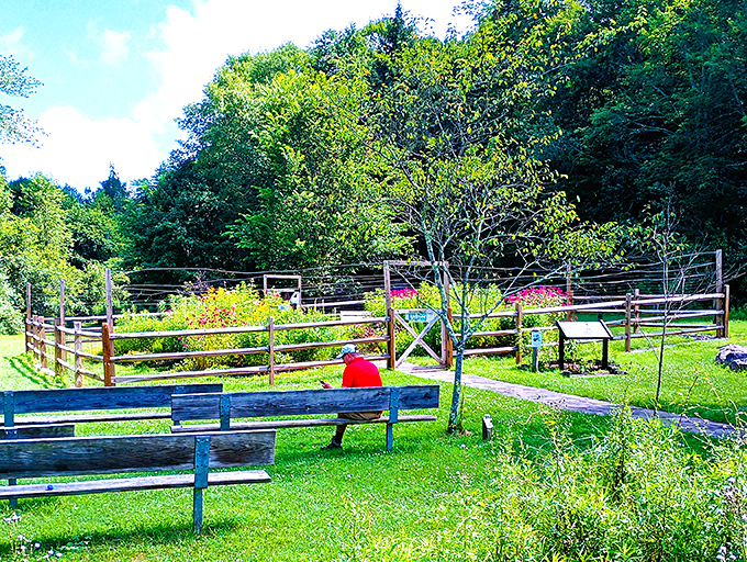 The park's garden area offers benches where you can sit and contemplate life's big questions, like "Why don't I do this more often?"
