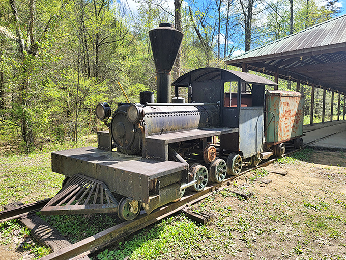 This vintage steam locomotive hasn't moved in decades but still tells more stories than your uncle after his third bourbon at Thanksgiving dinner.