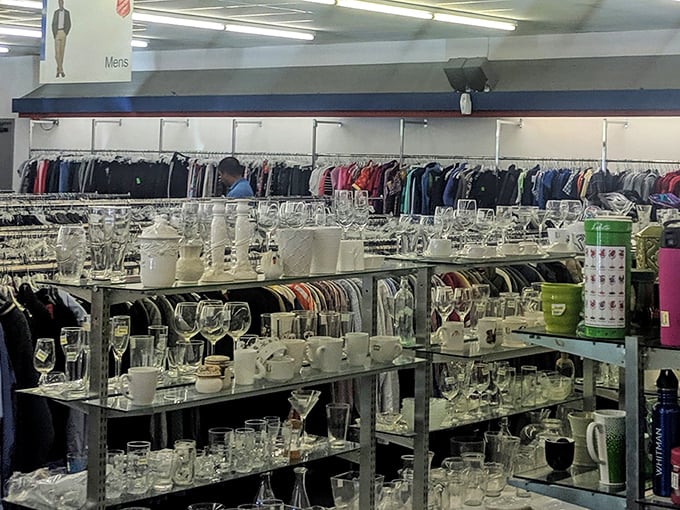 Glassware shelves glisten with potential dinner party heroes, from everyday tumblers to that quirky boot-shaped mug perfect for your cowboy-themed brunch.