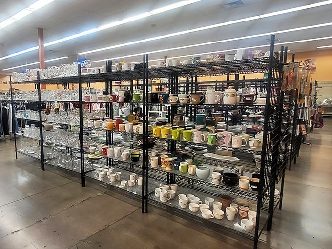 The glassware section sparkles under fluorescent lights&mdash;each mug and tumbler waiting to star in your next dinner party or morning coffee ritual.