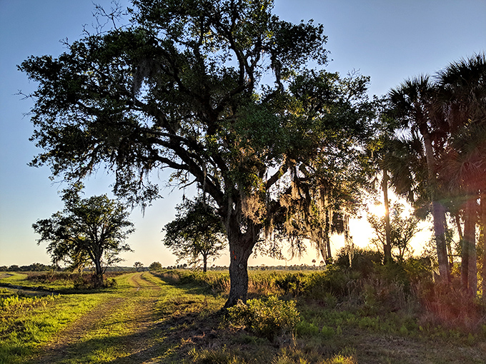 Golden hour transforms the prairie into a painter's dream &ndash; Monet would've traded all his water lilies for this light.
