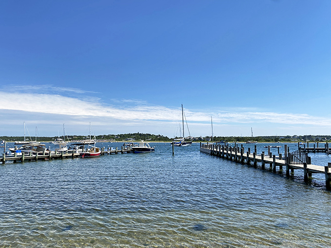 Harbor life: Wooden docks stretch into calm waters where sailboats and fishing vessels share space in a maritime dance that's continued for centuries.